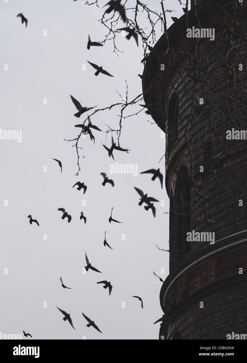 Lubeck winter hi-res stock photography and images - Alamy