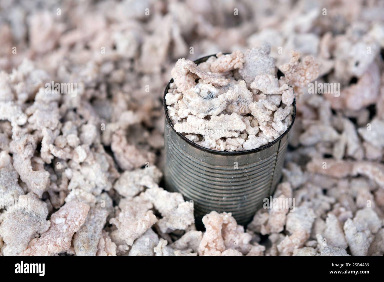 Landang is a processed starch product extracted from the inner trunk of ...