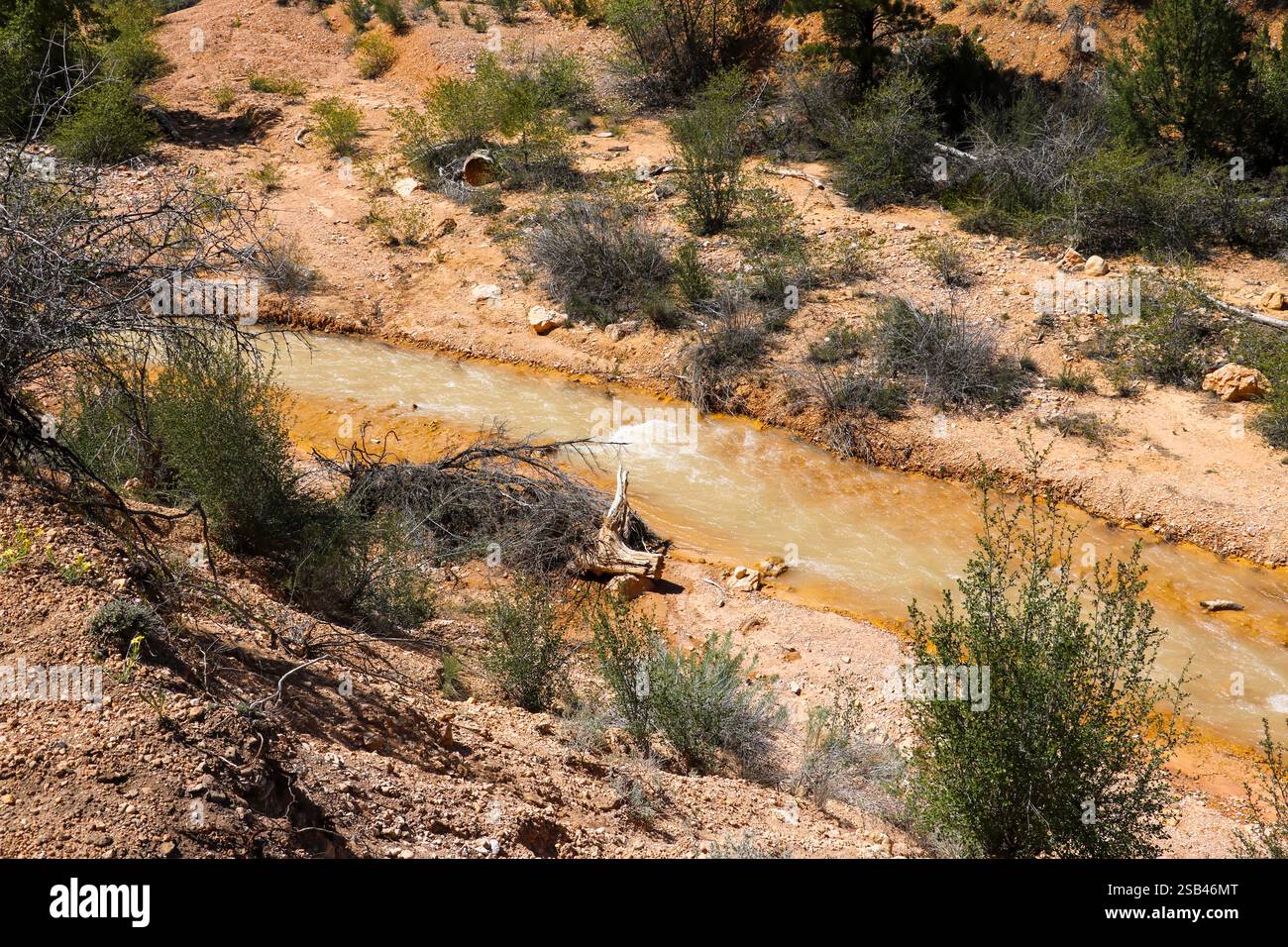 View of Tropic Ditch from Mossy Cave Trail at Bryce Canyon National ...