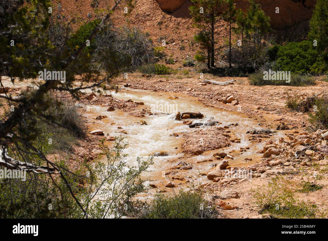 View of Tropic Ditch from Mossy Cave Trail at Bryce Canyon National ...