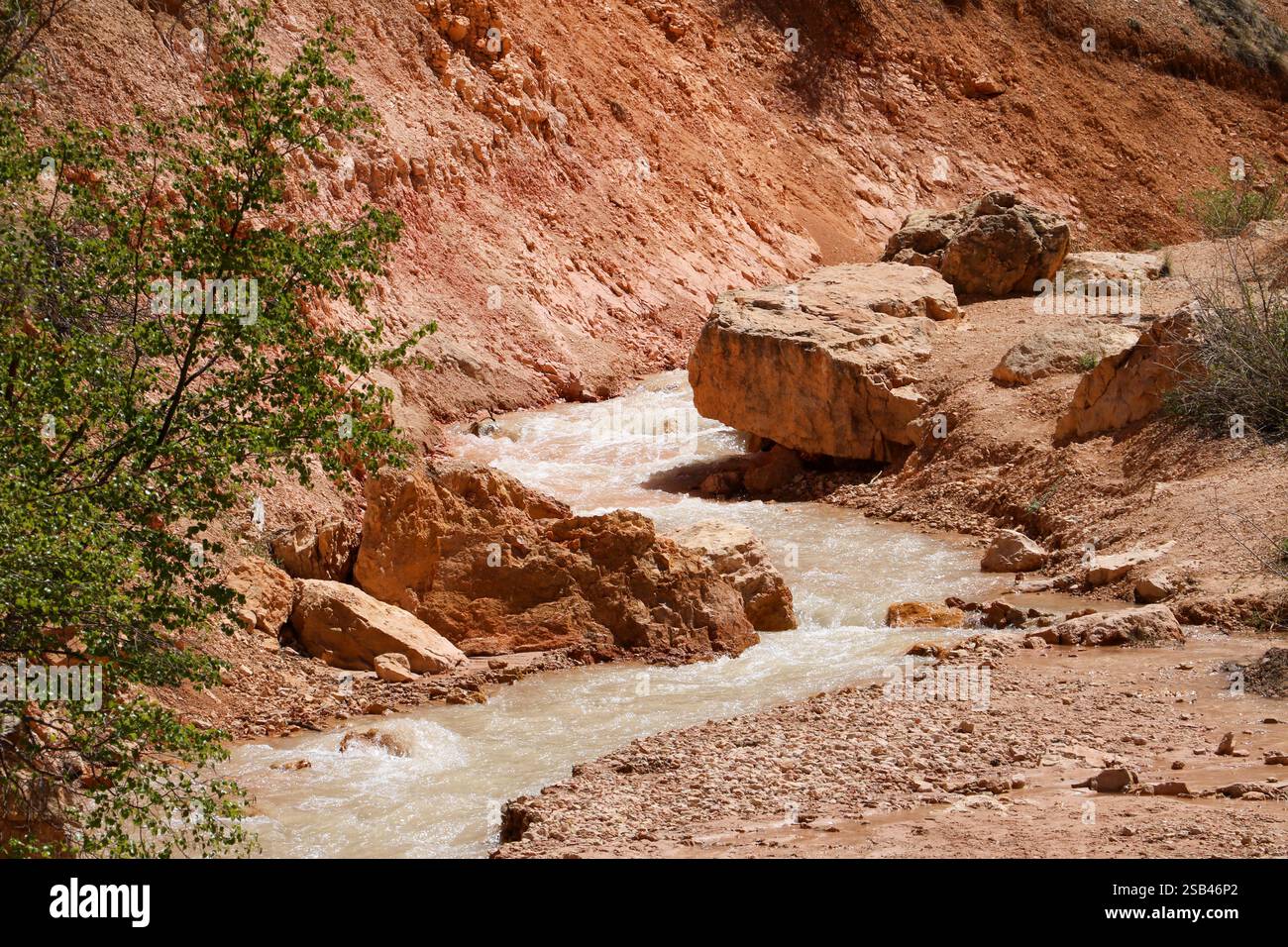 View of Tropic Ditch from Mossy Cave Trail at Bryce Canyon National ...