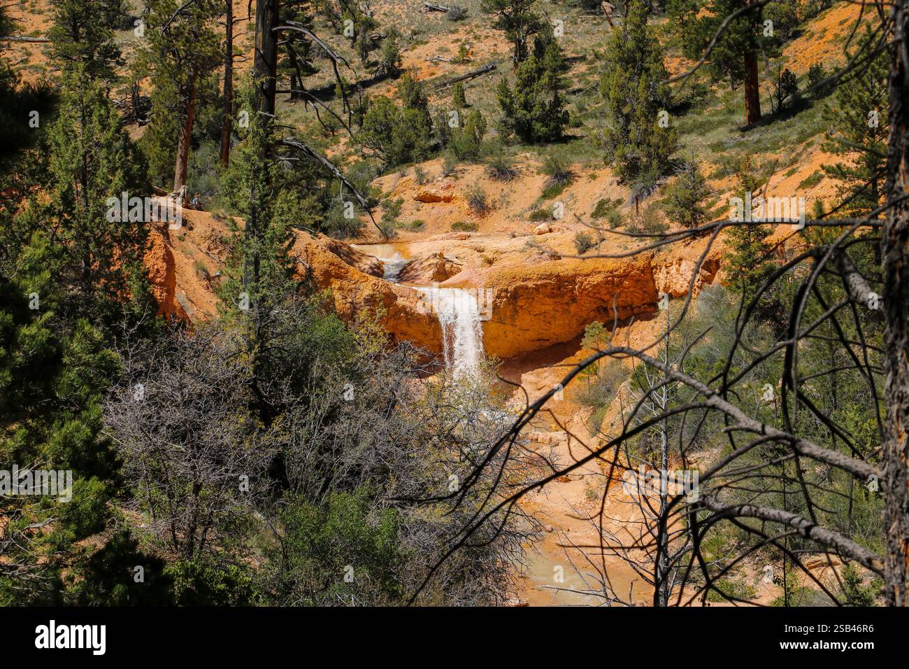View of Tropic Ditch Waterfall from Mossy Cave Trail at Bryce Canyon ...