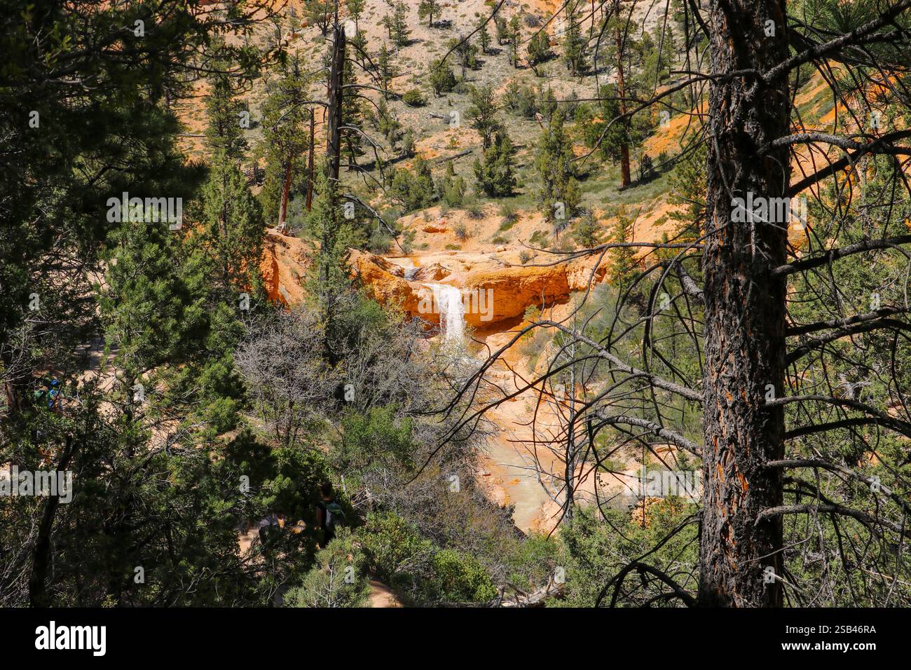 View of Tropic Ditch Waterfall from Mossy Cave Trail at Bryce Canyon ...