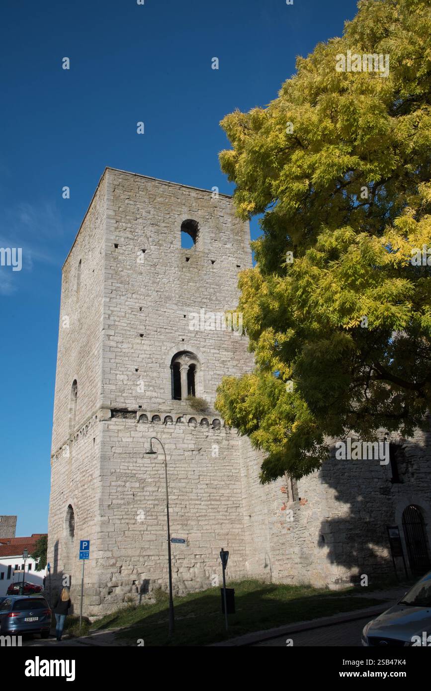 Visby is a medieval town on the Swedish island of Gotland with a well ...