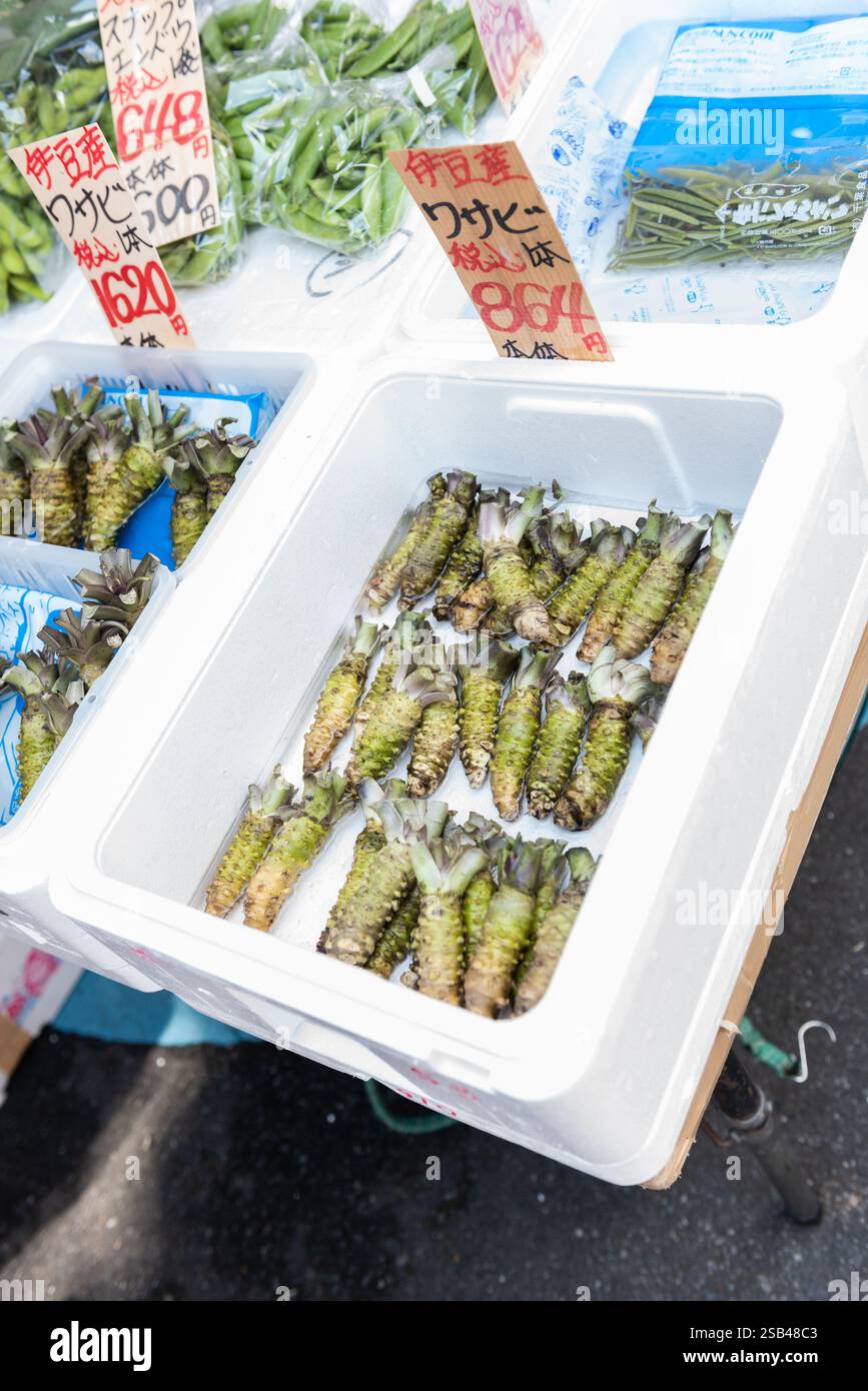 Fresh wasabi plants for sale at Tsukiji Outer Market, Tokyo, Japan ...