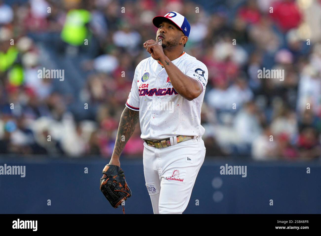 Dominican Republic pitcher Fernando Abad reacts after a Caribbean ...