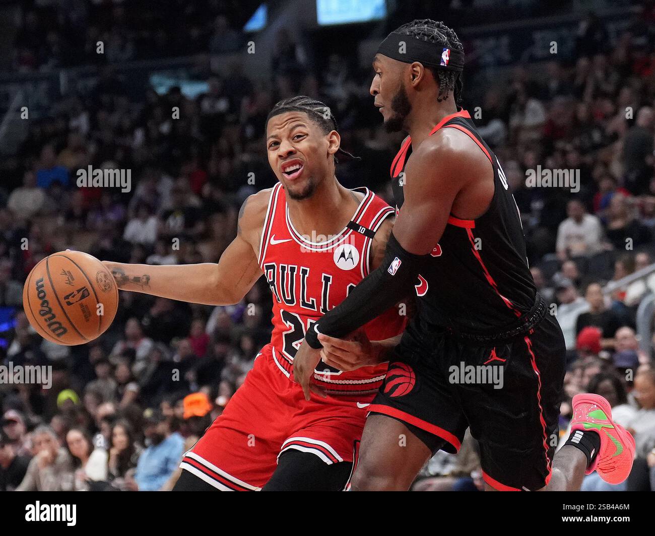 Chicago Bulls forward Dalen Terry (25) and Toronto Raptors guard Immanuel Quickley (5) vie for ...