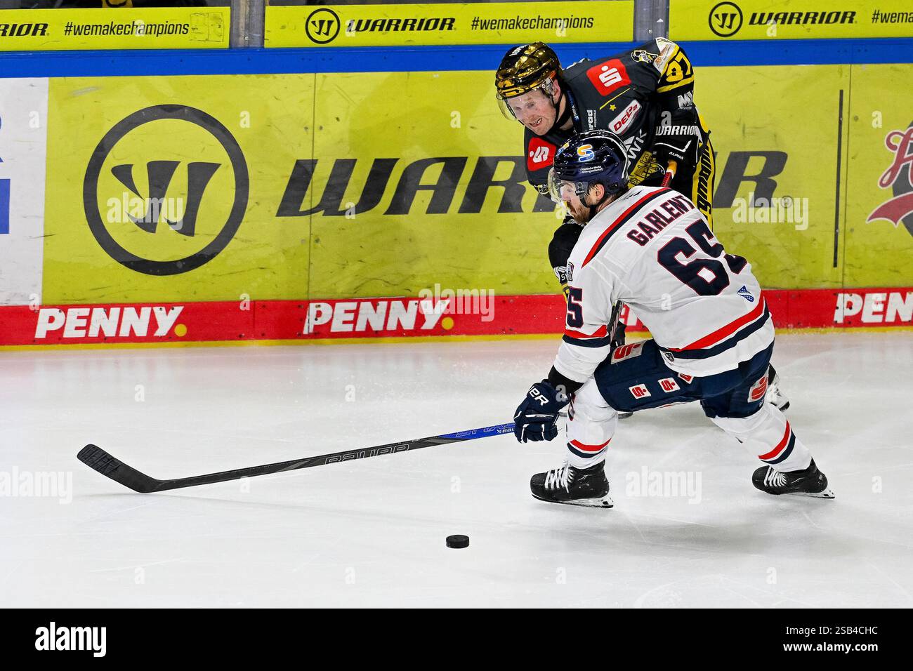 Eishockey DEL2 - 24/25 - 42. Spieltag: Krefeld Pinguine vs Kassel ...