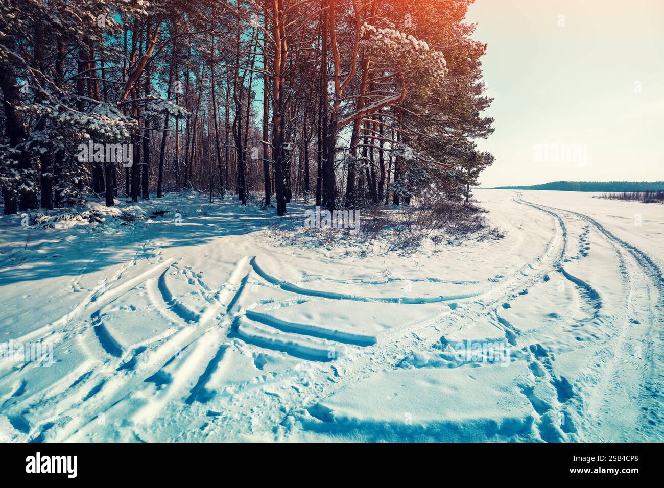 Winter rural landscape. Car tracks in the snow at the edge of the ...