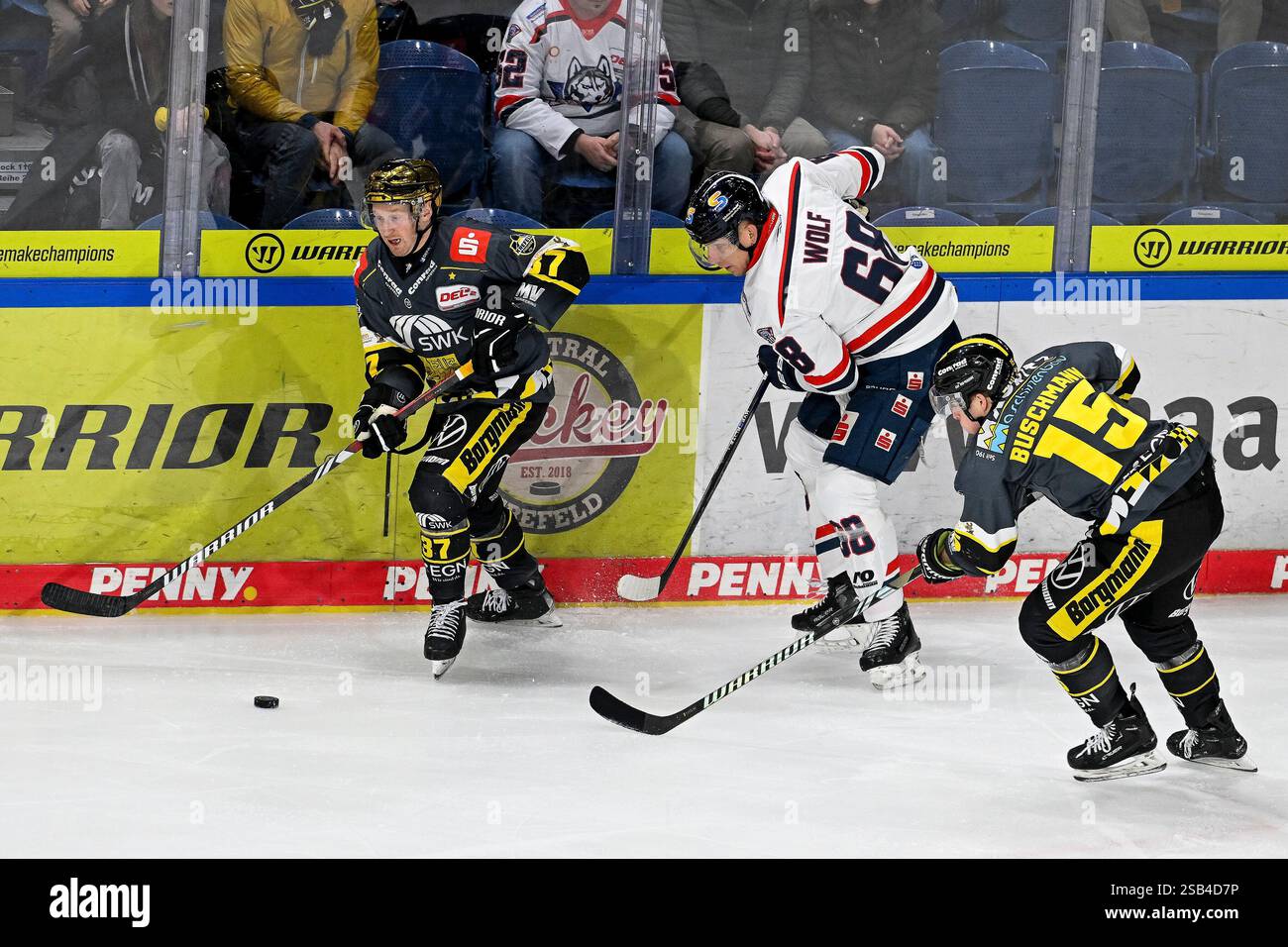Eishockey DEL2 - 24/25 - 42. Spieltag: Krefeld Pinguine vs Kassel ...