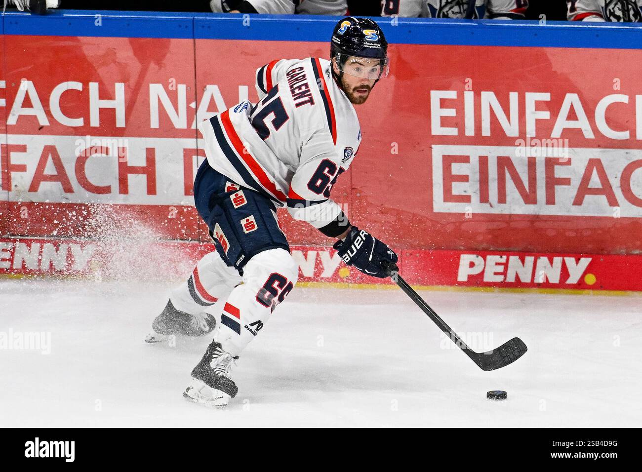 Eishockey DEL2 - 24/25 - 42. Spieltag: Krefeld Pinguine vs Kassel ...