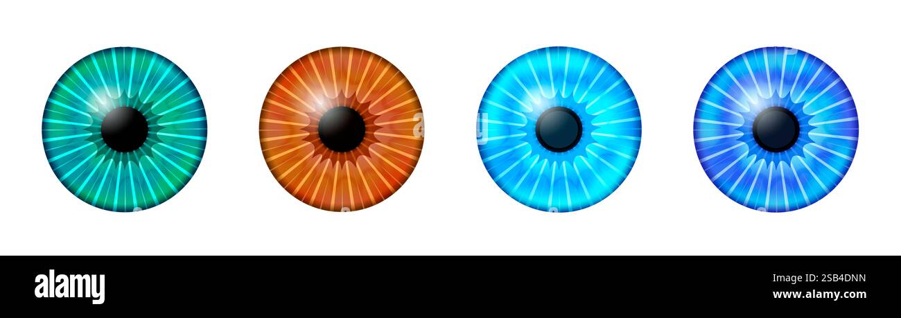 Illustration of irises of various colours. The iris is the coloured ...