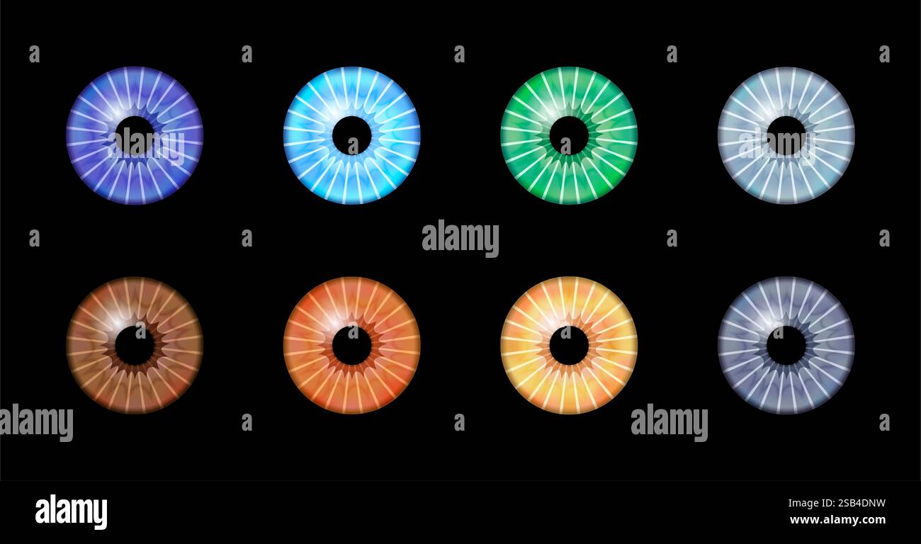 Illustration of irises of various colours. The iris is the coloured ...