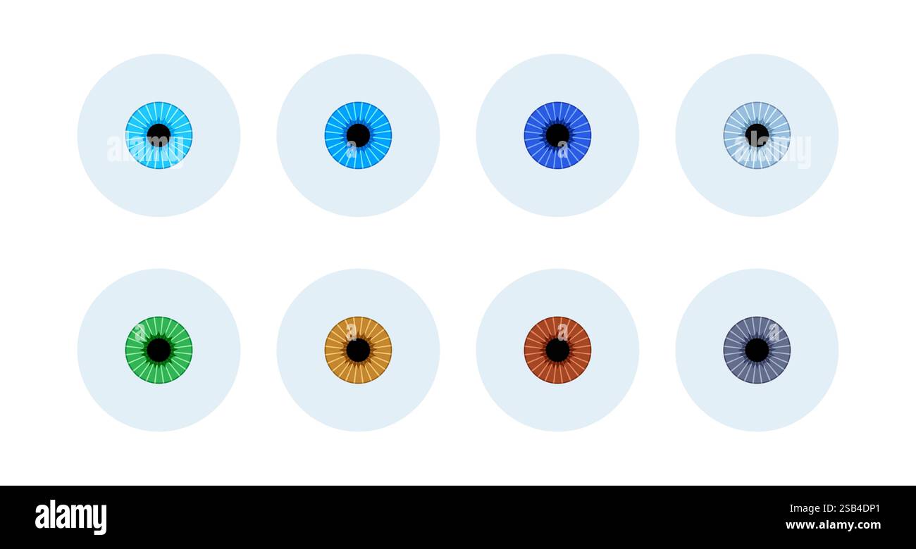 Illustration of irises of various colours. The iris is the coloured ...