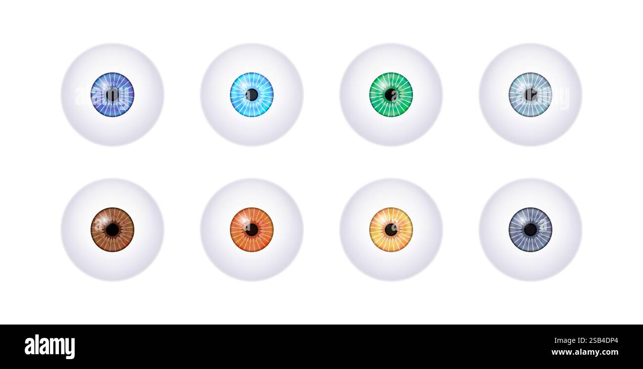Illustration of irises of various colours. The iris is the coloured ...