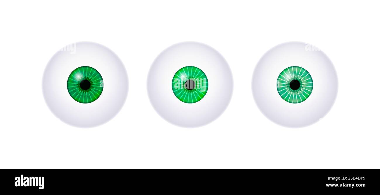 Illustration of green irises. The iris is the coloured part of the eye ...