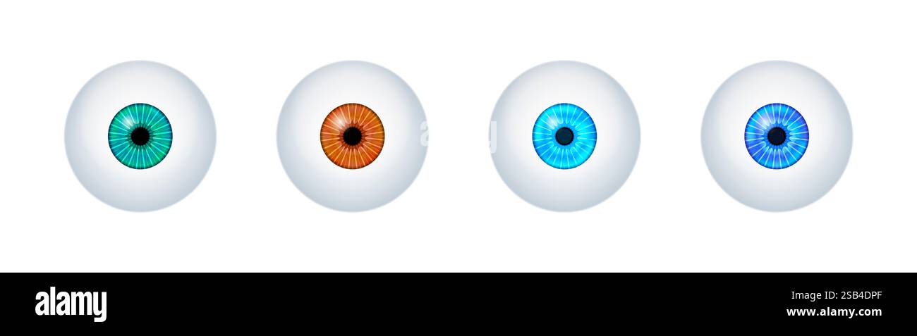 Illustration of irises of various colours. The iris is the coloured ...