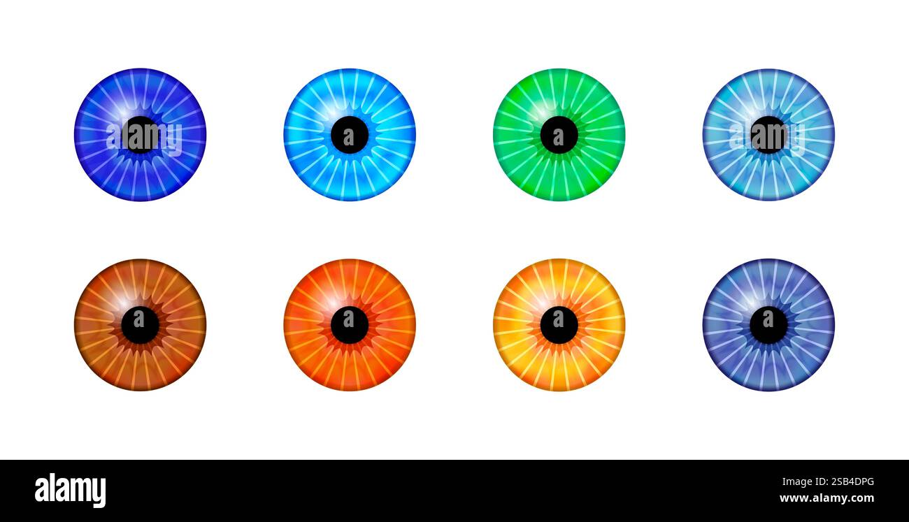 Illustration of irises of various colours. The iris is the coloured ...