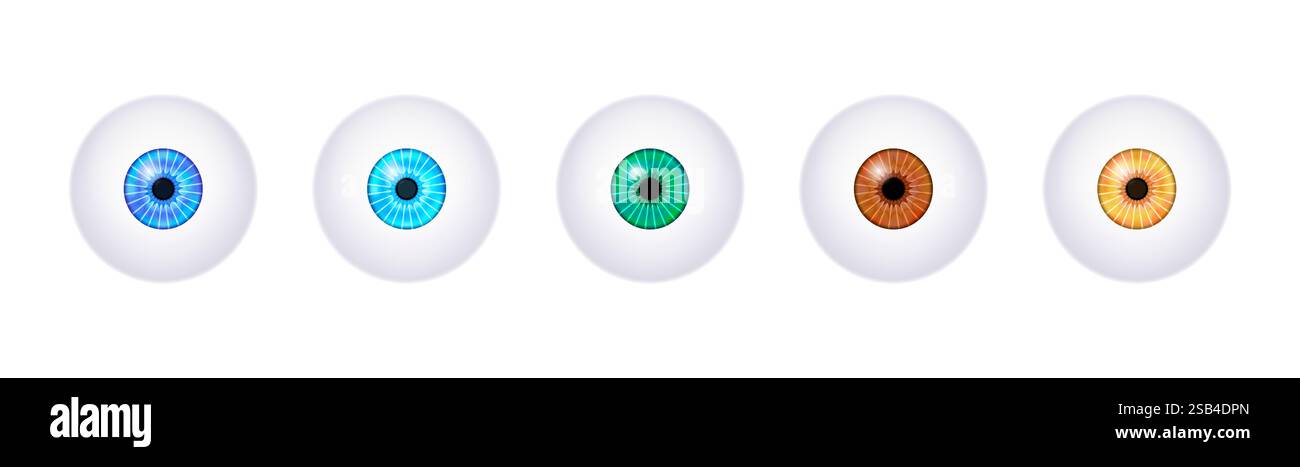 Illustration of irises of various colours. The iris is the coloured ...