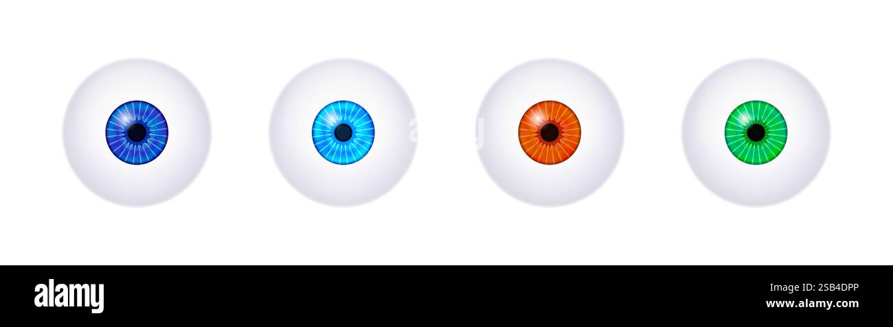 Illustration of irises of various colours. The iris is the coloured ...