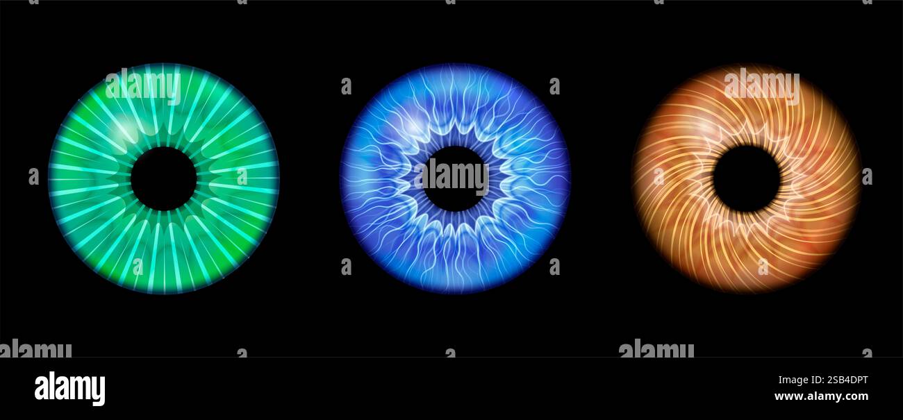 Illustration of irises of various colours. The iris is the coloured ...
