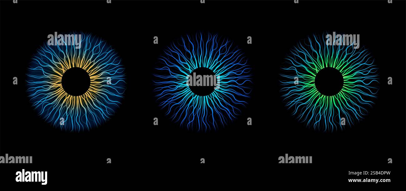 Illustration of irises of various colours. The iris is the coloured ...