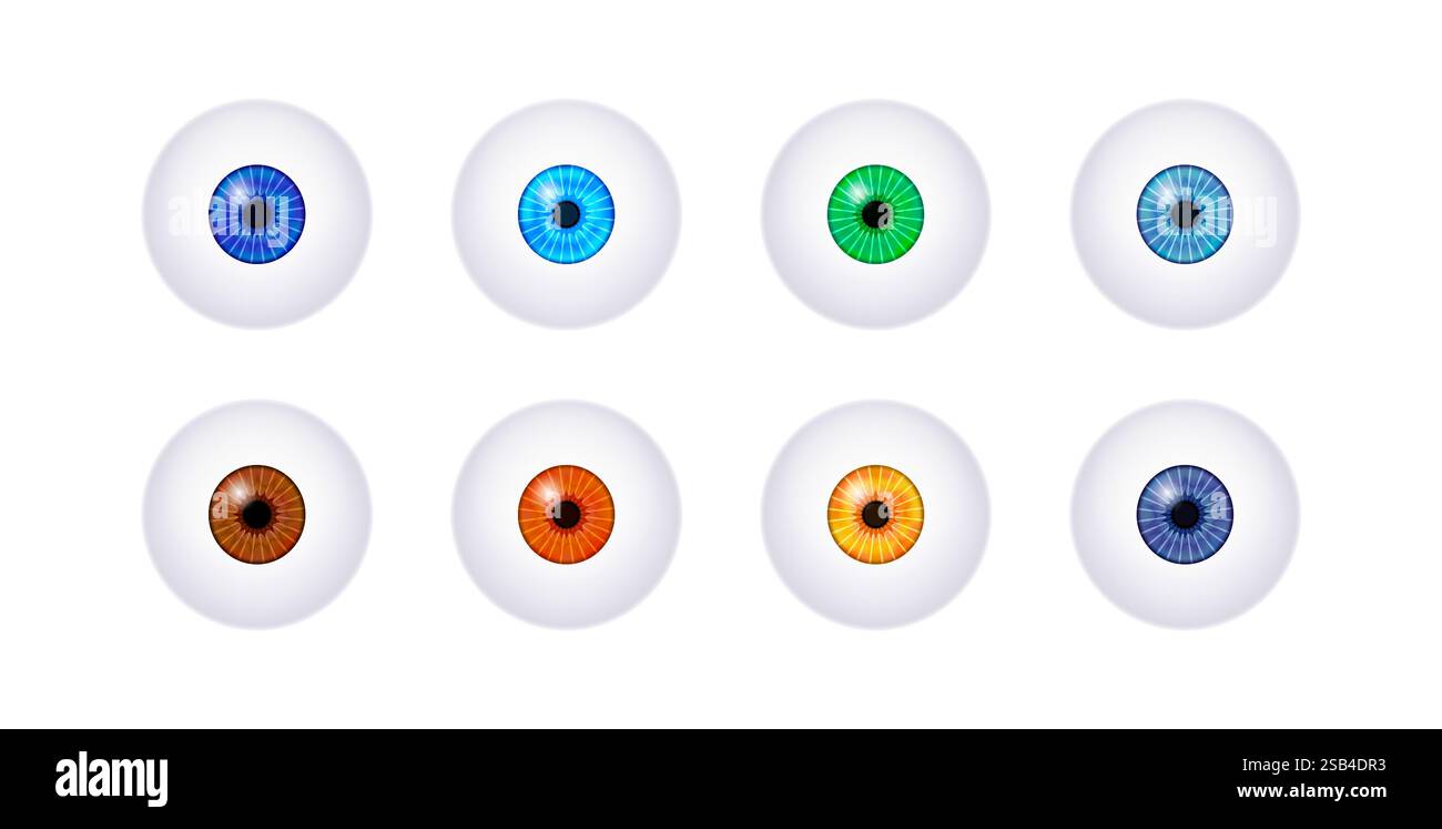 Illustration of irises of various colours. The iris is the coloured ...