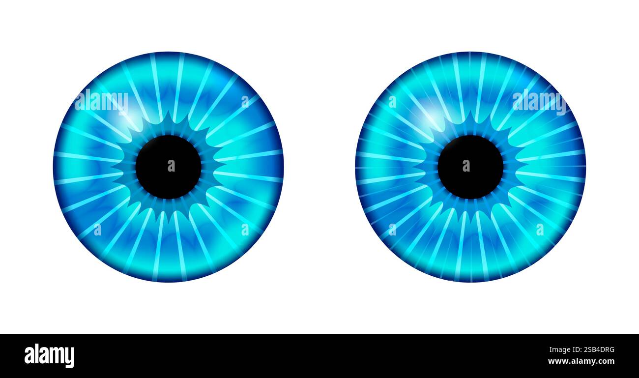 Illustration of blue irises. The iris is the coloured part of the eye ...