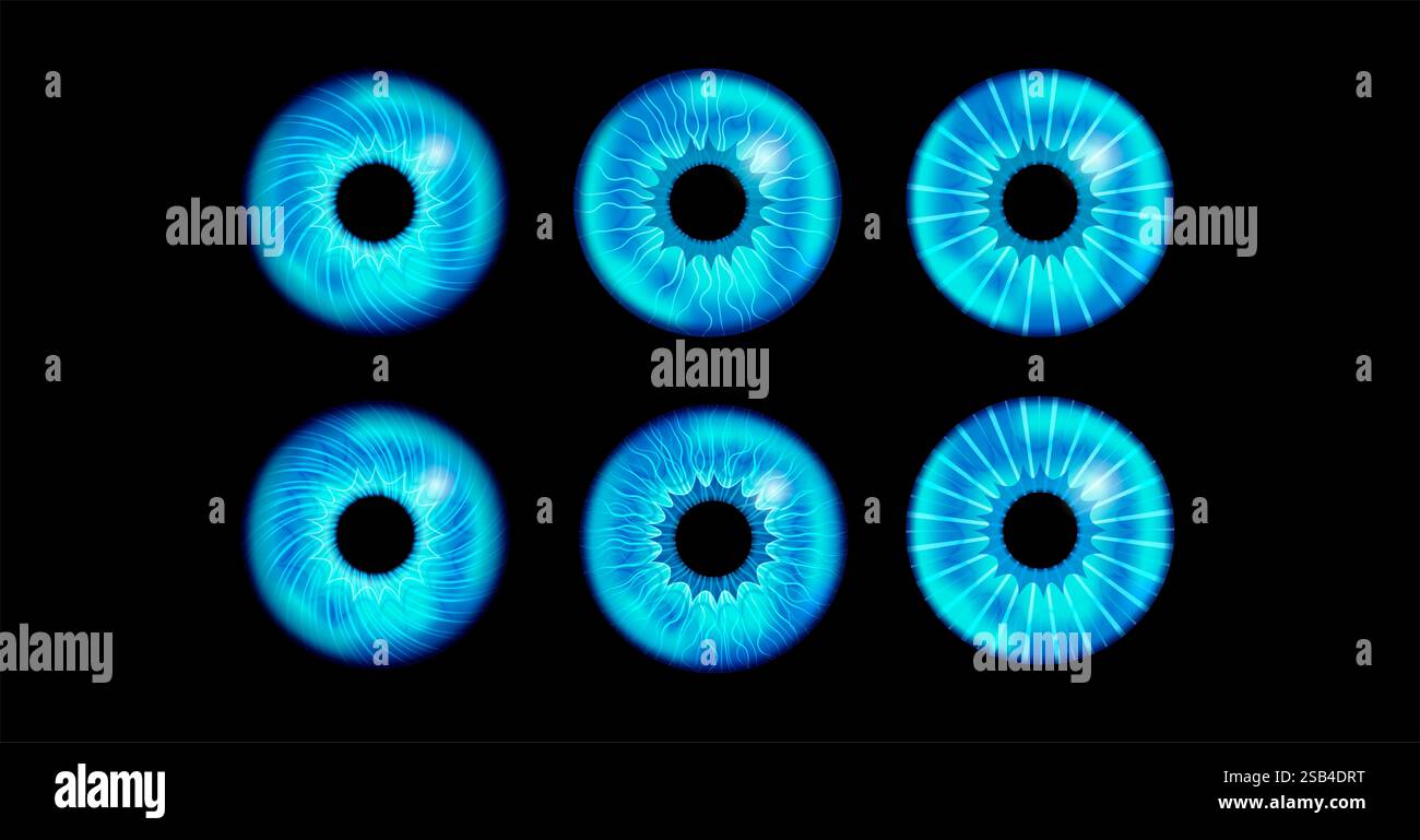Illustration of blue irises. The iris is the coloured part of the eye ...