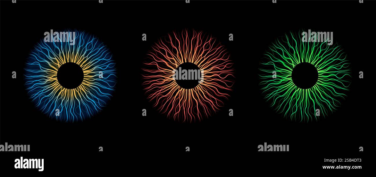Illustration of irises of various colours. The iris is the coloured ...