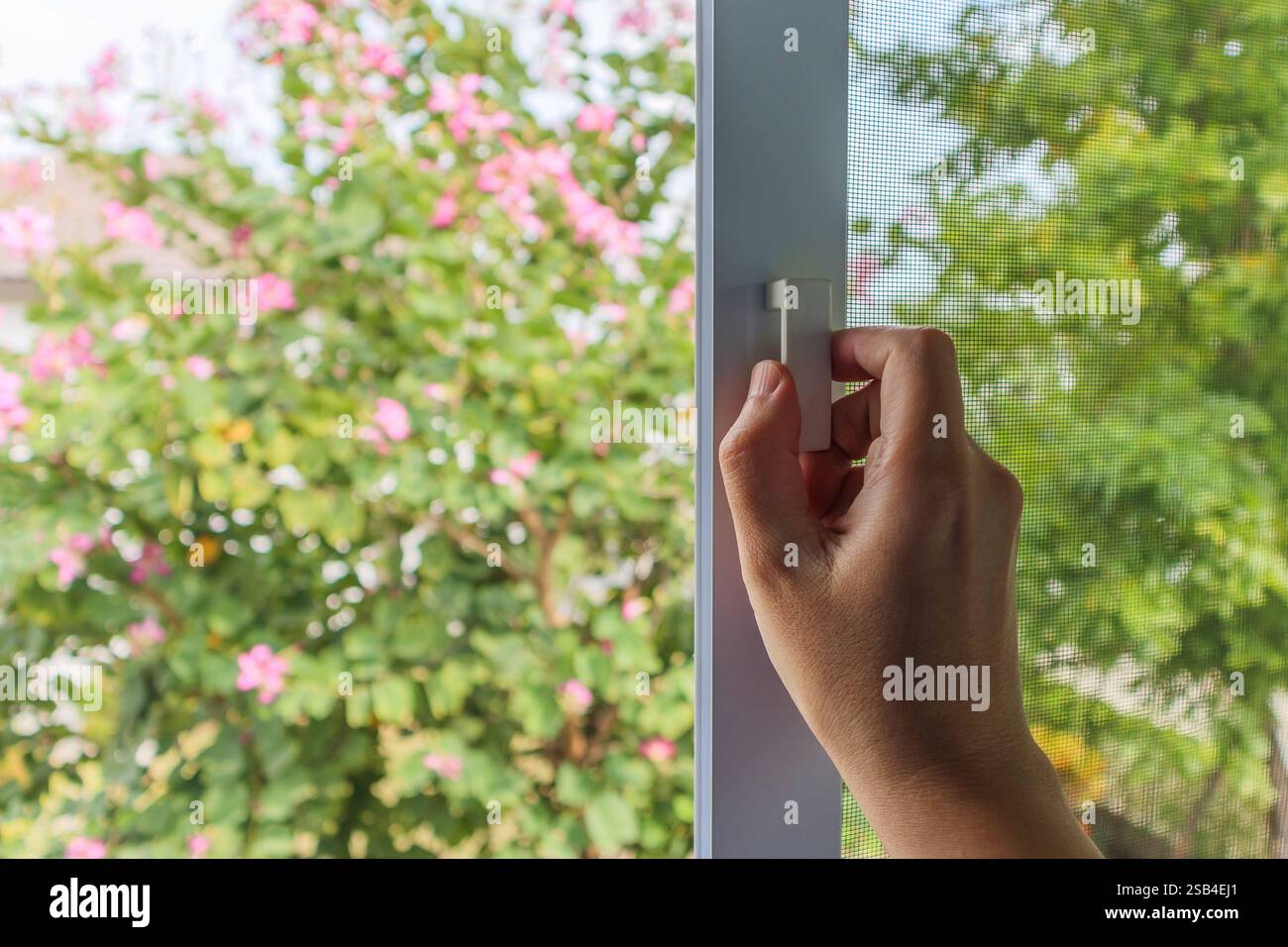 Hand hold mosquito net wire screen handle on house window Stock Photo ...