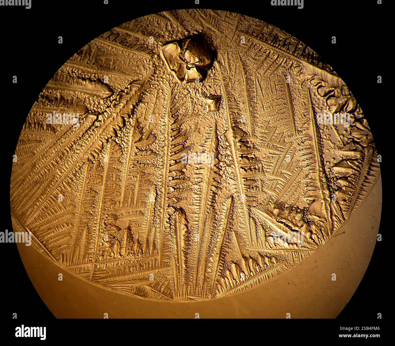 Salt crystals precipitated from mineral spring water as viewed under ...