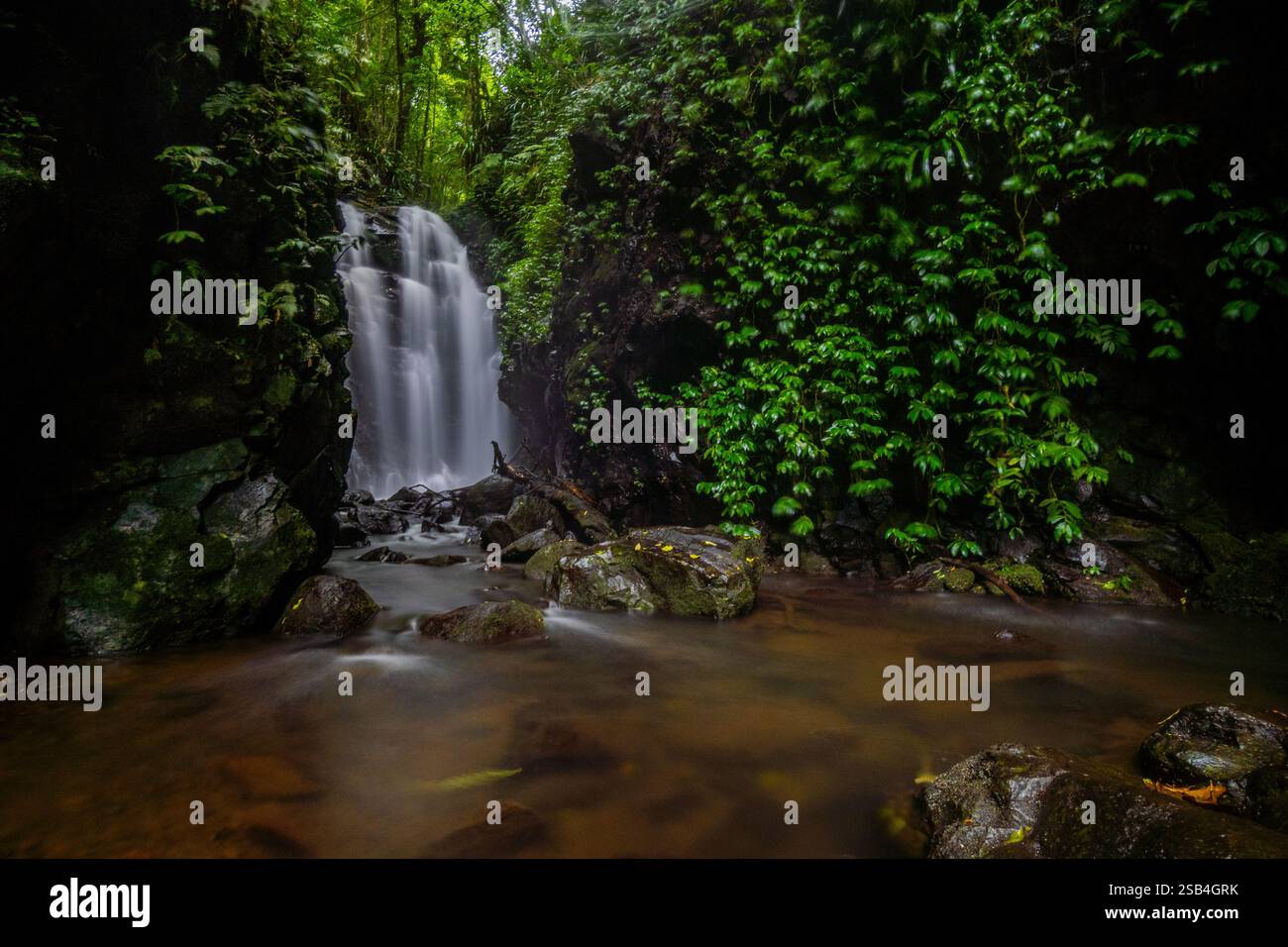 Box Creek Falls Stock Photo - Alamy