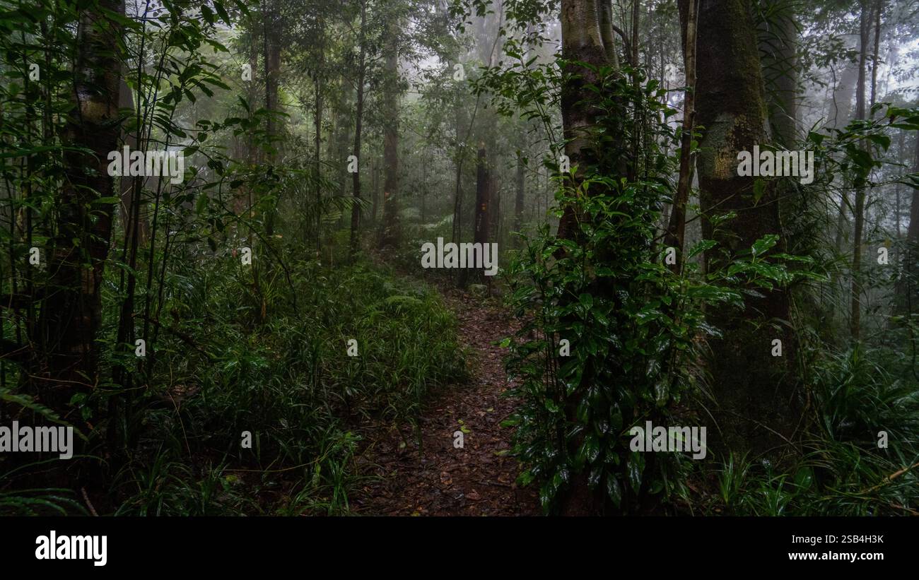 Paluma range national park hi-res stock photography and images - Alamy