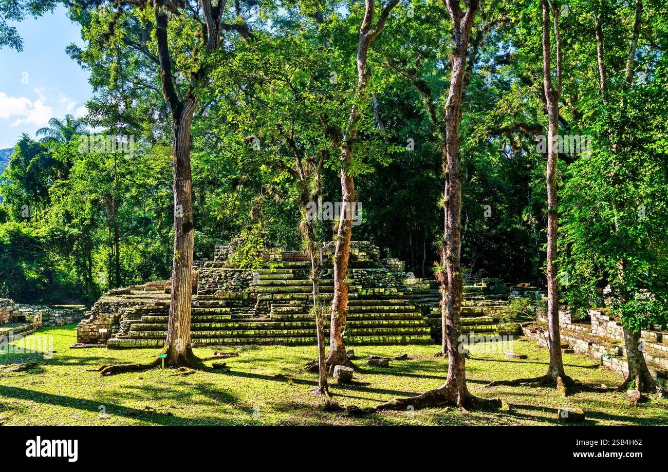 Cemetery Group of the Maya Archaeological Site at Copan. UNESCO world heritage in Honduras Stock ...