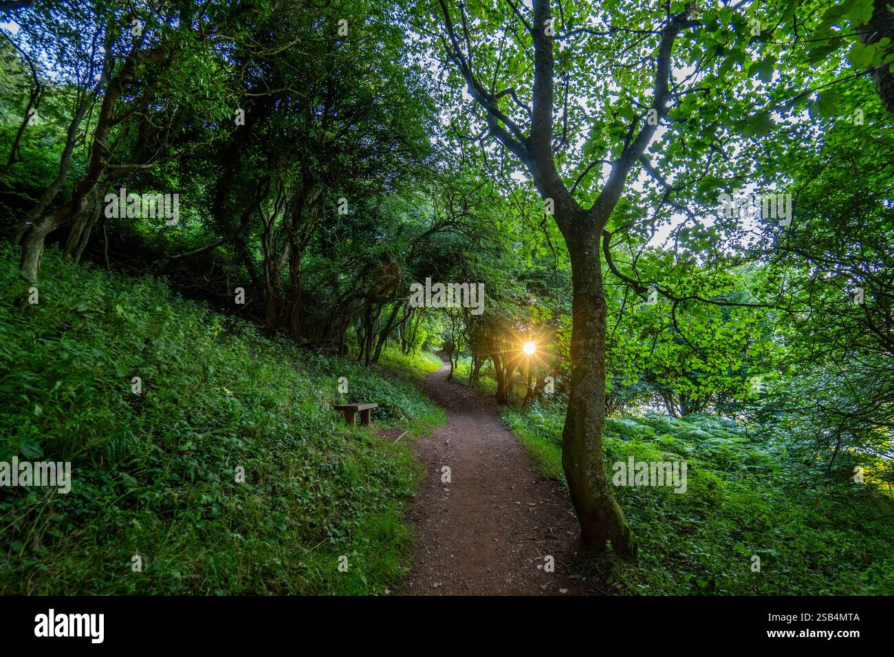 Woodlands of hope hi-res stock photography and images - Alamy