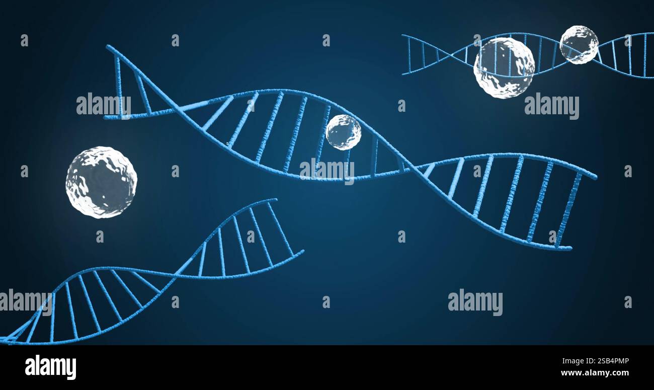 Image of dna strands over white bubbles moving Stock Photo - Alamy