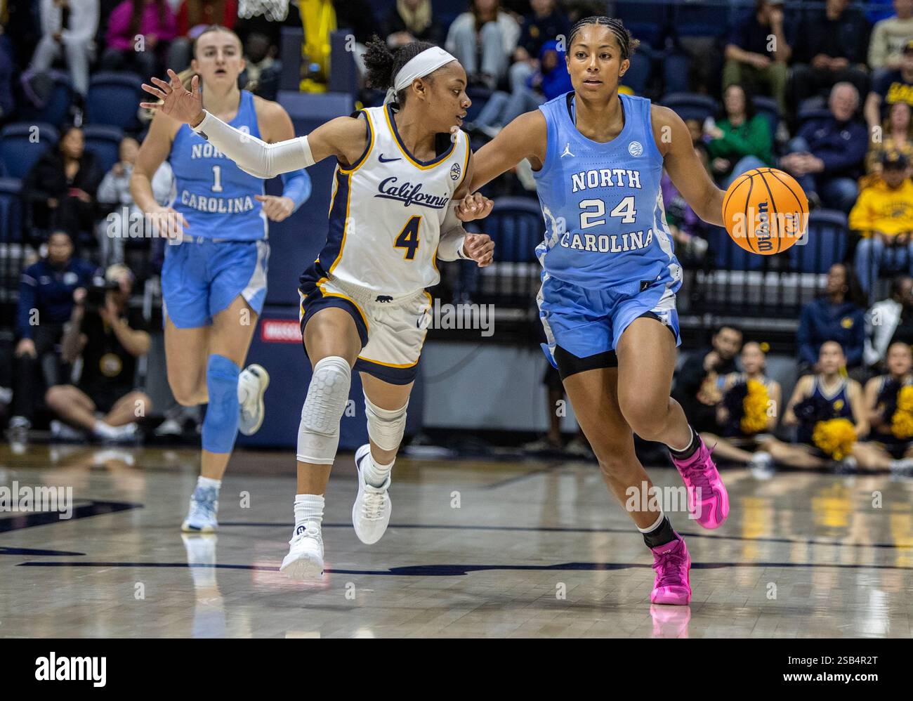 Nivar hi-res stock photography and images - Alamy