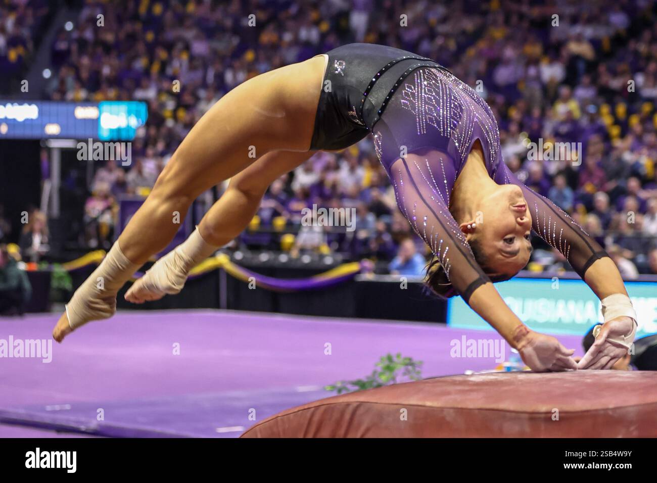 Baton Rouge, LA, USA. 31st Jan, 2025. LSU's Kailin Chio competes on the ...