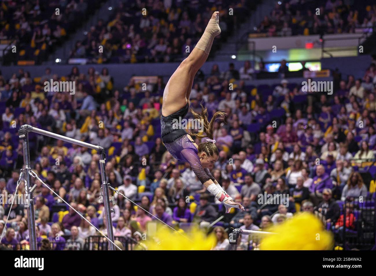 Baton Rouge, LA, USA. 31st Jan, 2025. LSU's Lexi Zeiss competes on the ...