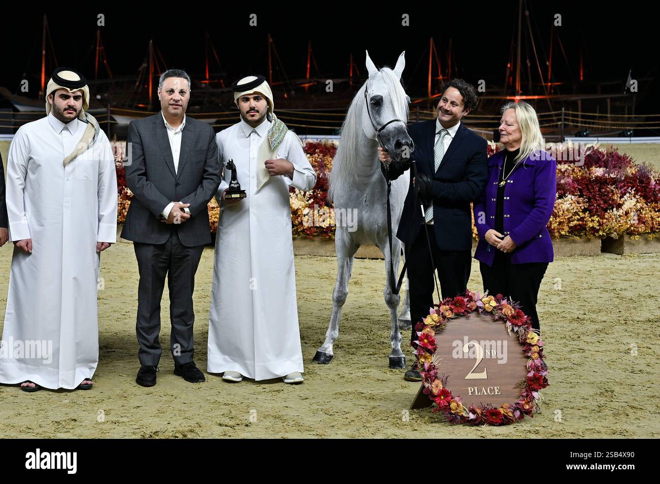 KATARA INTERNATIONAL ARABIAN HORSE FESTIVAL KIAHF 2025 Basheer Al Waab, owned by El Alya Stud of ...