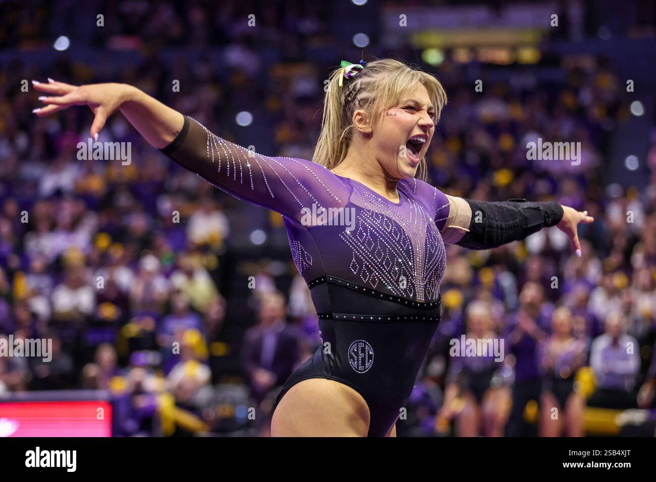 Baton Rouge, USA. 31st Jan, 2025. January 31, 2025: LSU's Sierra ...