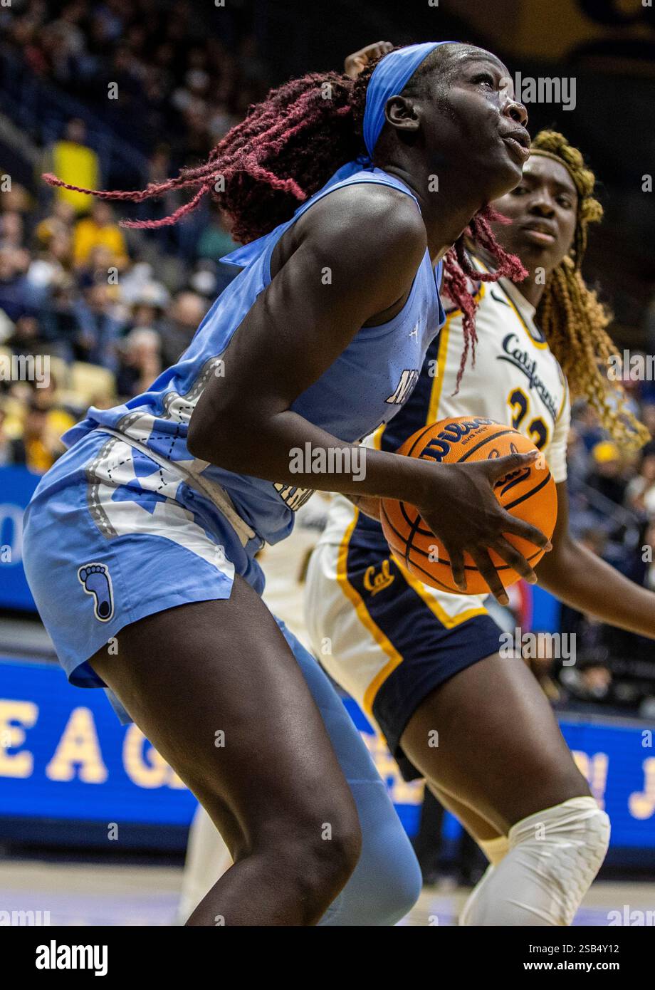 2025 _1258 jpg hi-res stock photography and images - Alamy