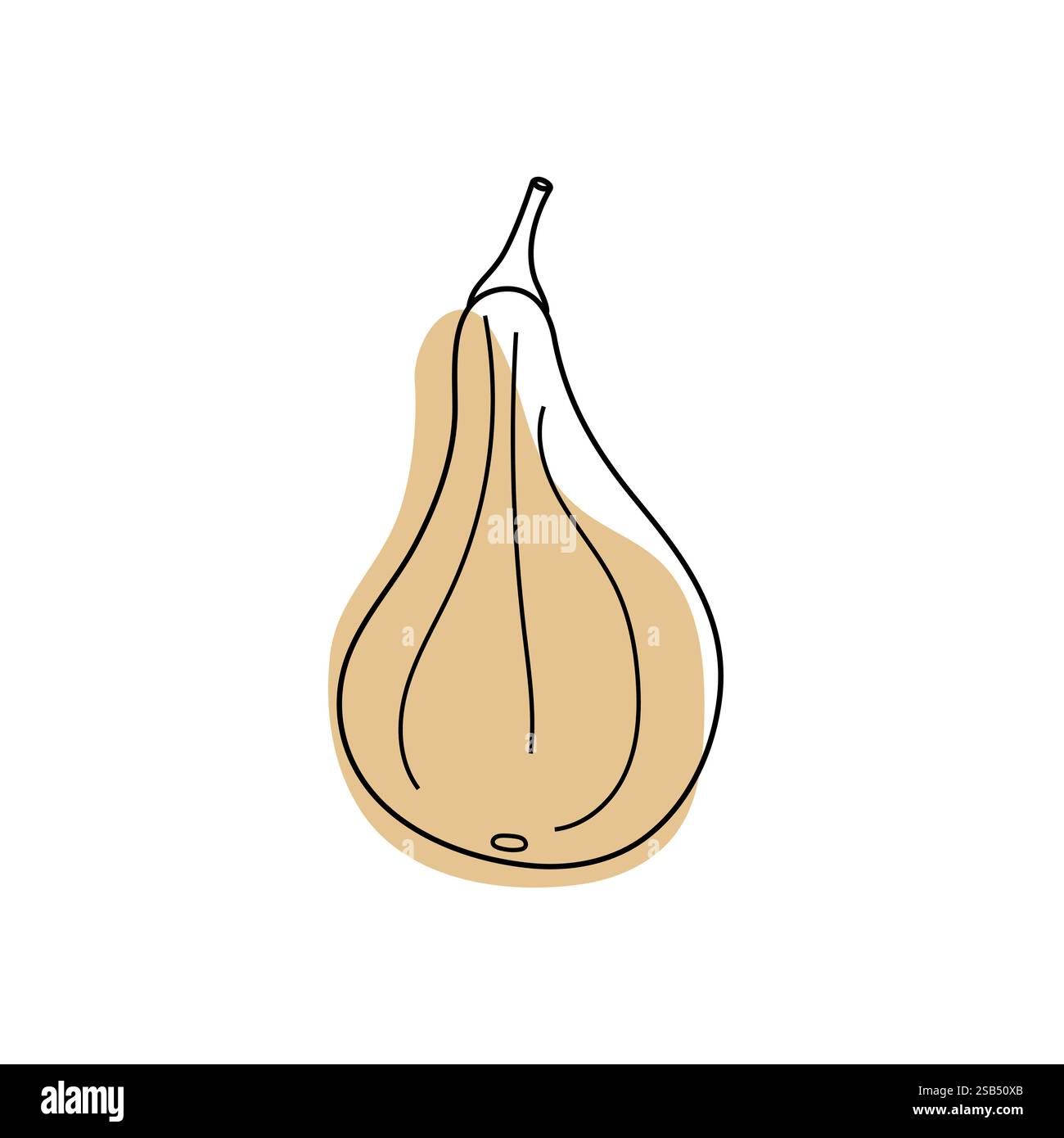 Pumpkin Vegetable Ripe Vector Illustration. Vector illustration Stock ...