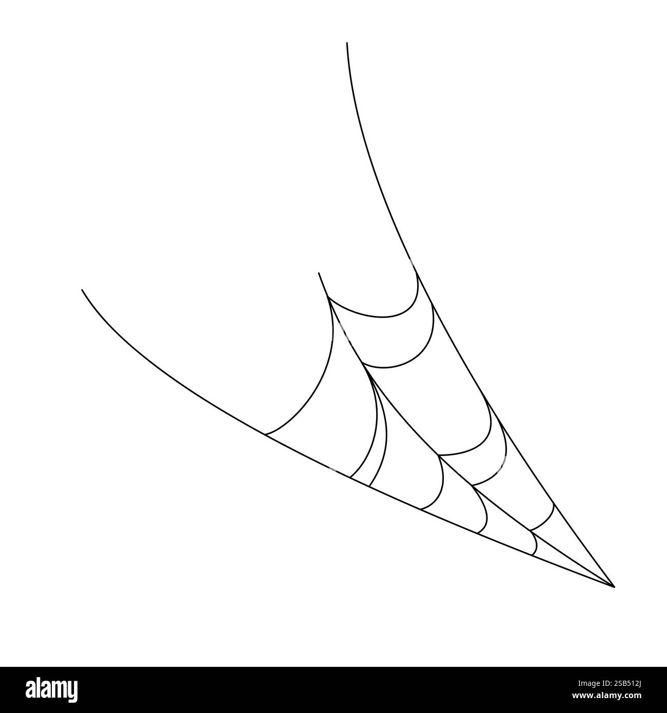 spider web background for hallowen design. spider web line art. Vector ...