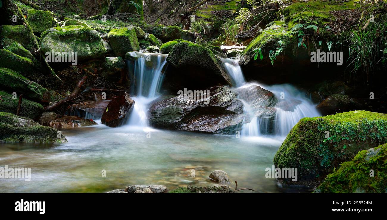 small waterfall in a Japanese forest Stock Photo - Alamy