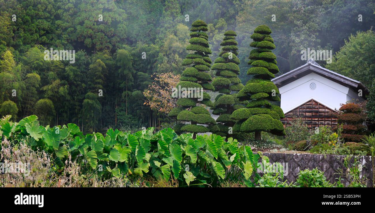 Niwaki hi-res stock photography and images - Alamy