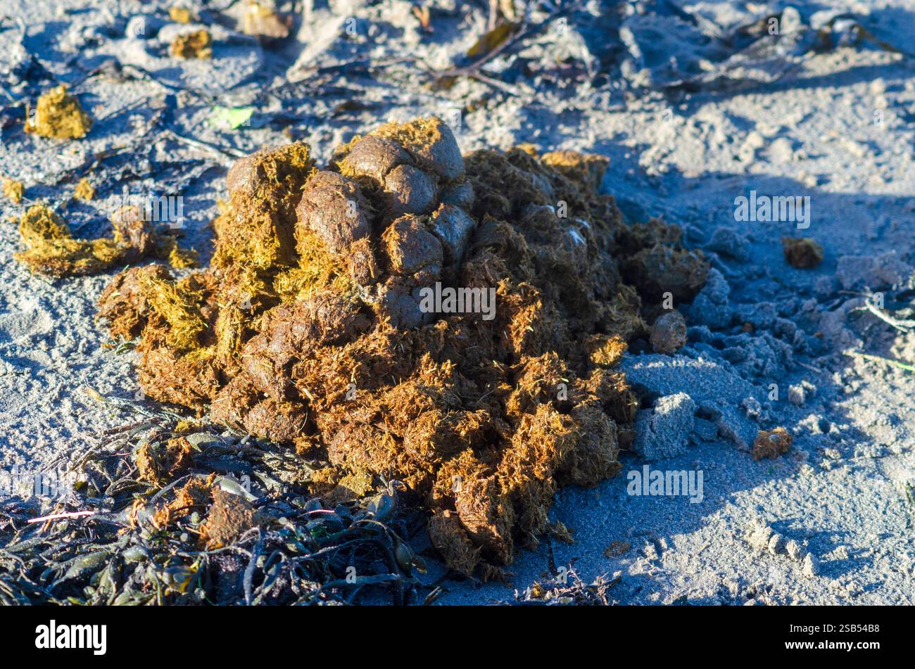 Unhealthy environment hi-res stock photography and images - Alamy