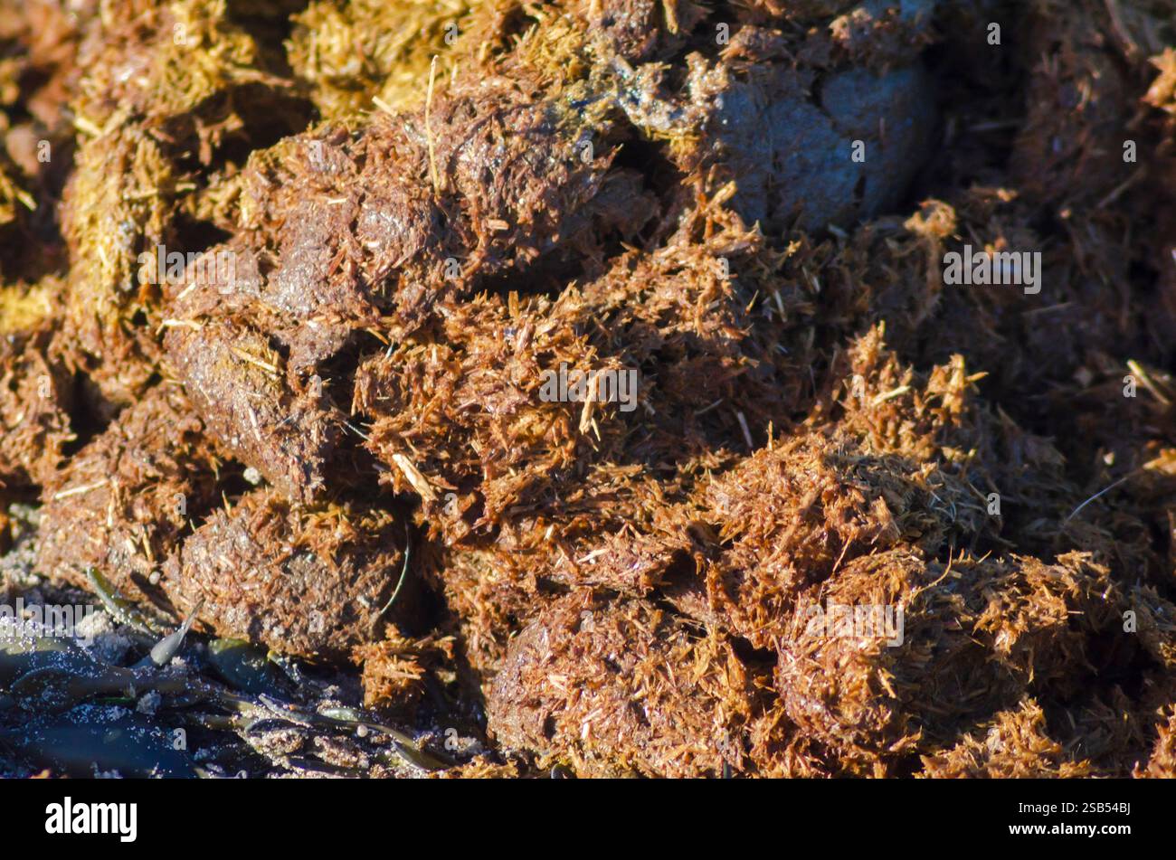 Unhealthy environment hi-res stock photography and images - Alamy