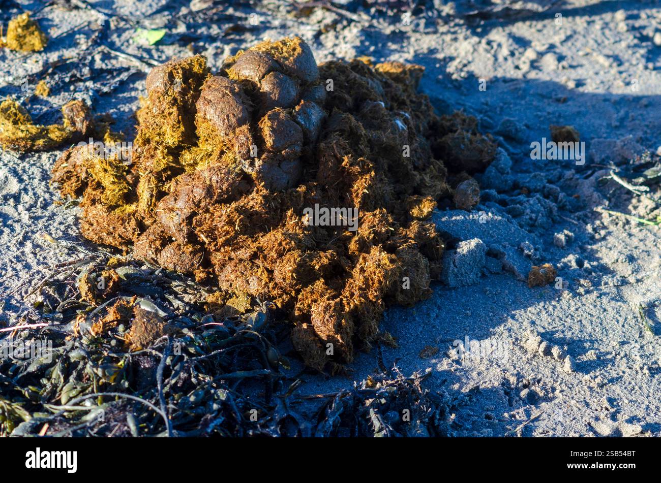 Unhealthy environment hi-res stock photography and images - Alamy